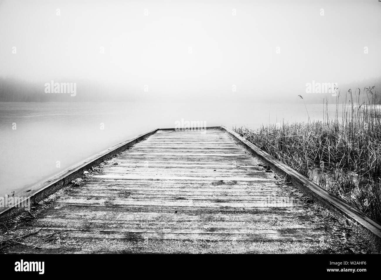 Misty lake in the middle of the forest and old wooden bridge Stock ...