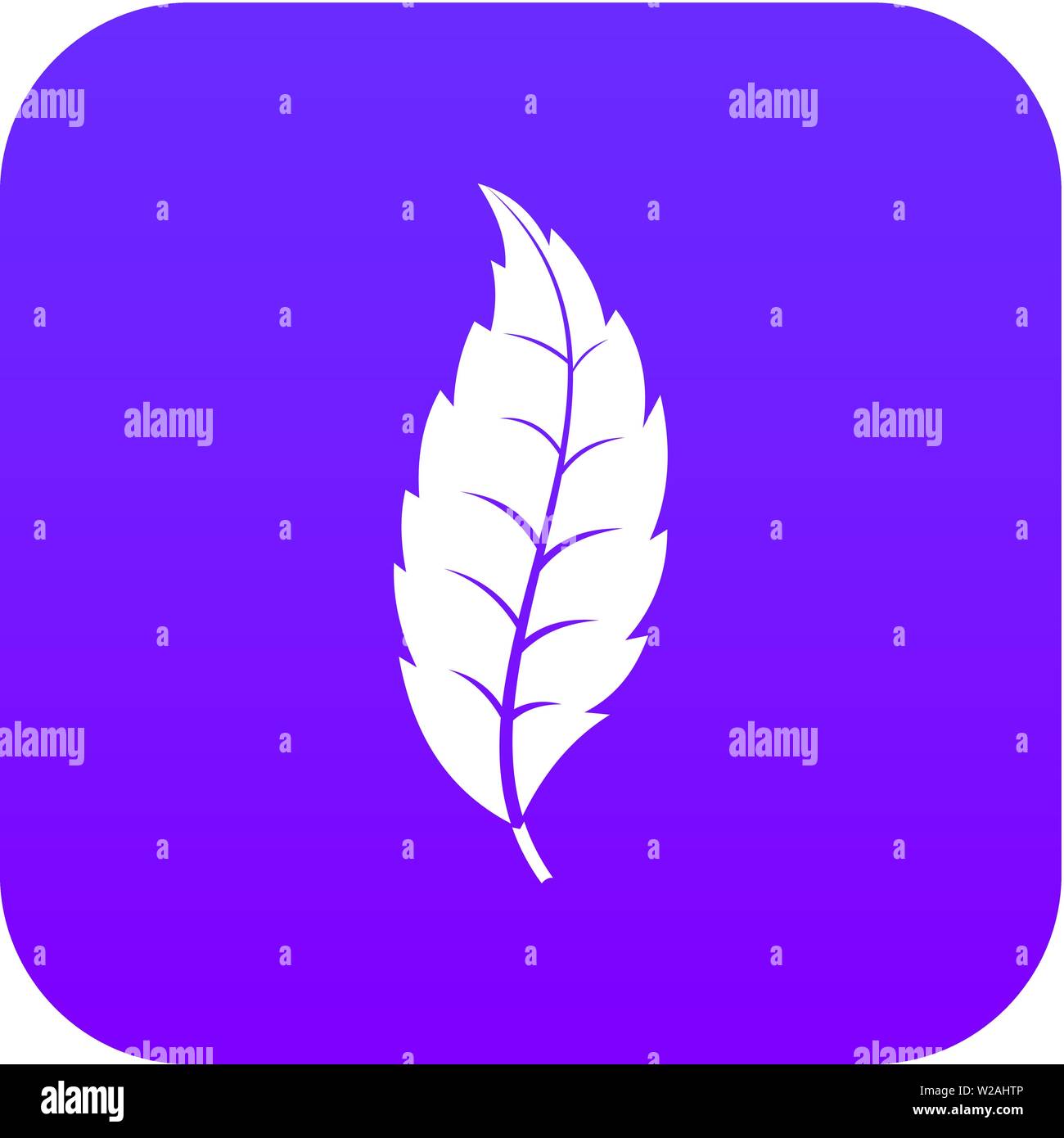 Toothed leaf Cut Out Stock Images & Pictures - Alamy