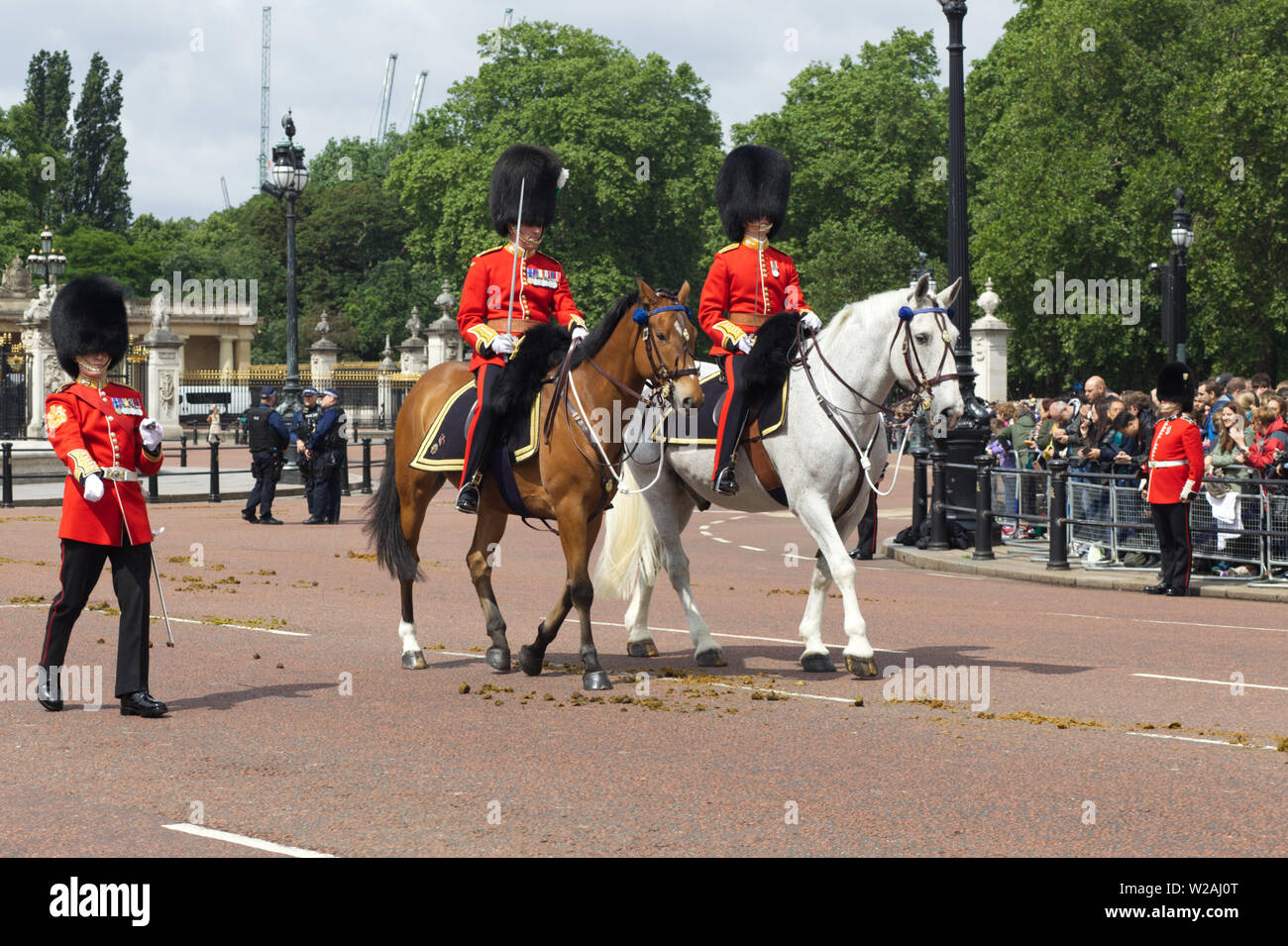 Welsh guard hi-res stock photography and images - Alamy