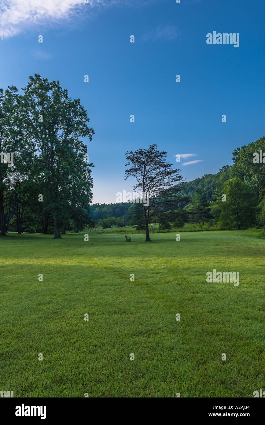 Manicured trees lawn hi-res stock photography and images - Alamy