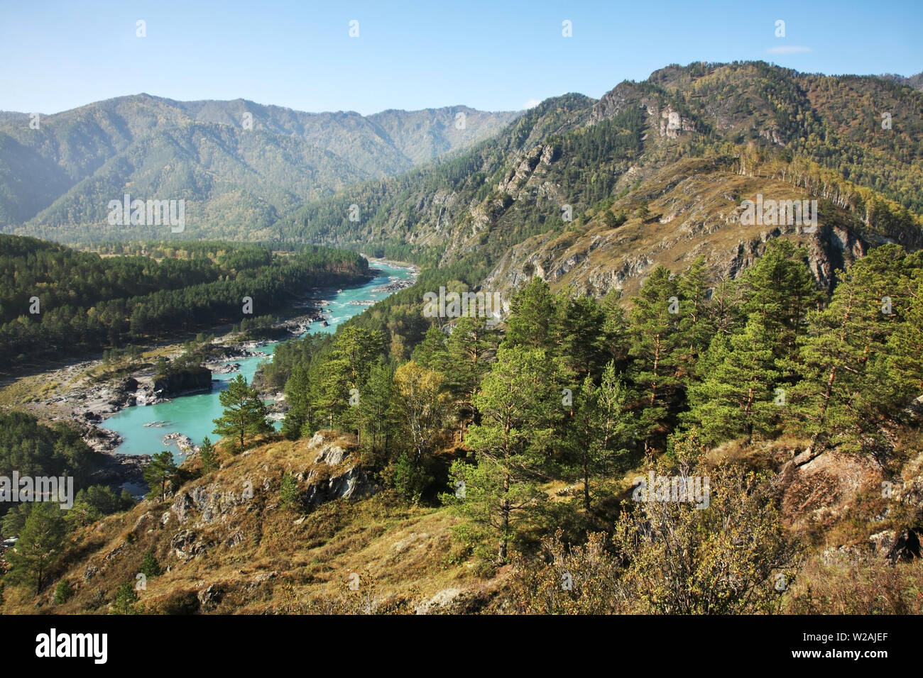 Katun river near Chemal village. Altai Republic. Russia Stock Photo - Alamy
