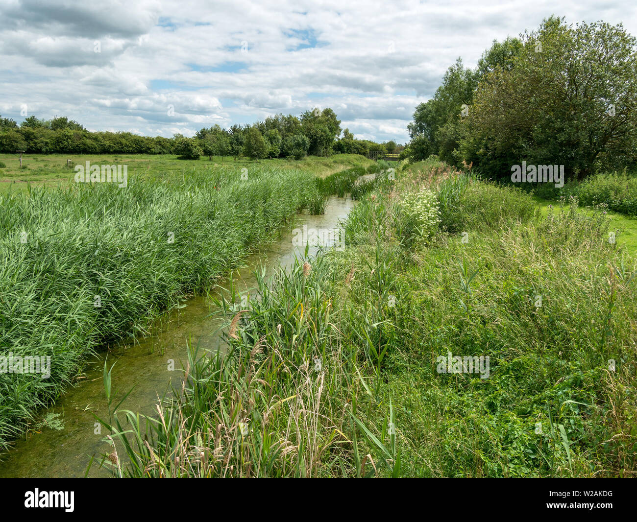 Drainage of the fens hi-res stock photography and images - Alamy
