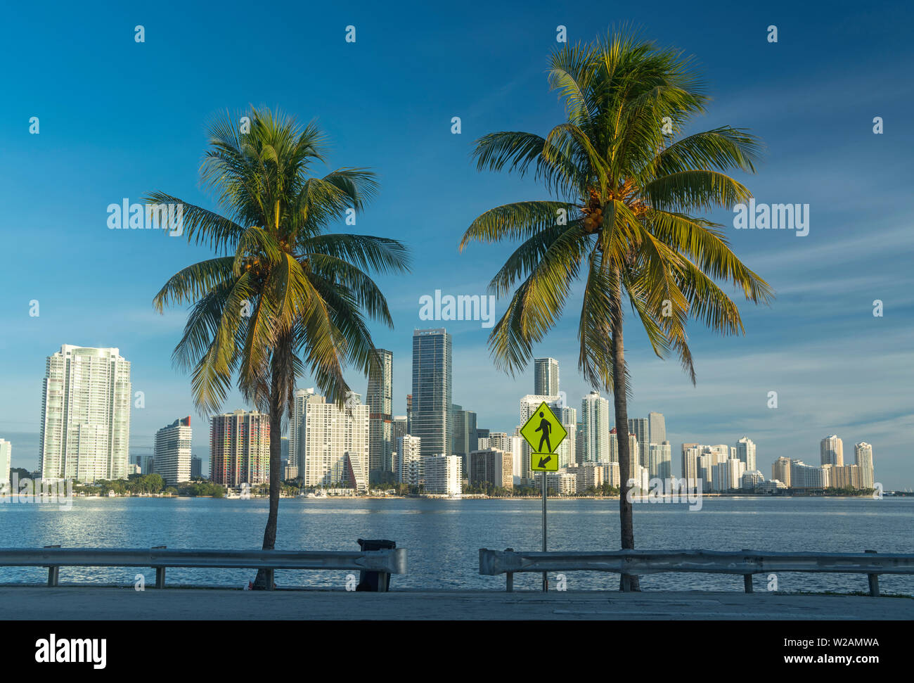 BRICKELL AVENUE SKYLINE DOWNTOWN MIAMI FLORIDA USA Stock Photo - Alamy