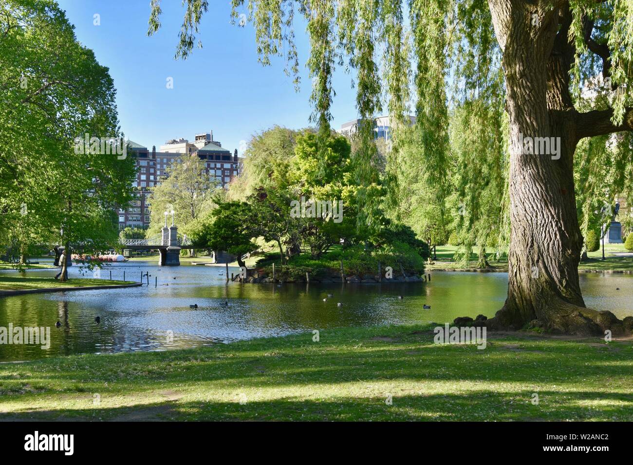 Views around the Boston Common and Boston Public Garden Stock Photo - Alamy