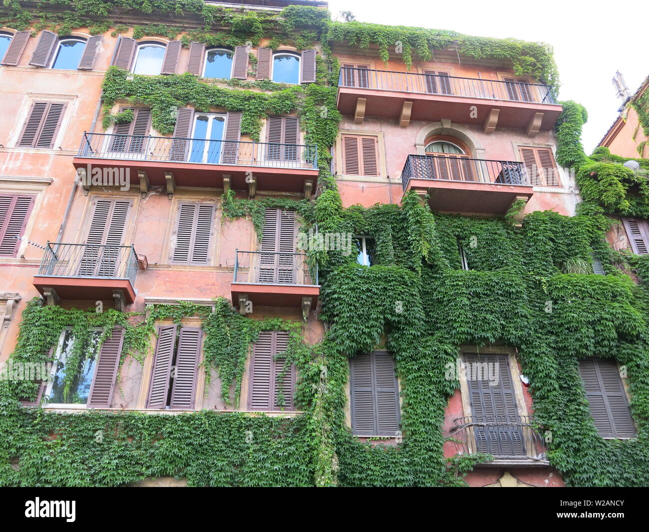 Ivy clad walls hi-res stock photography and images - Alamy
