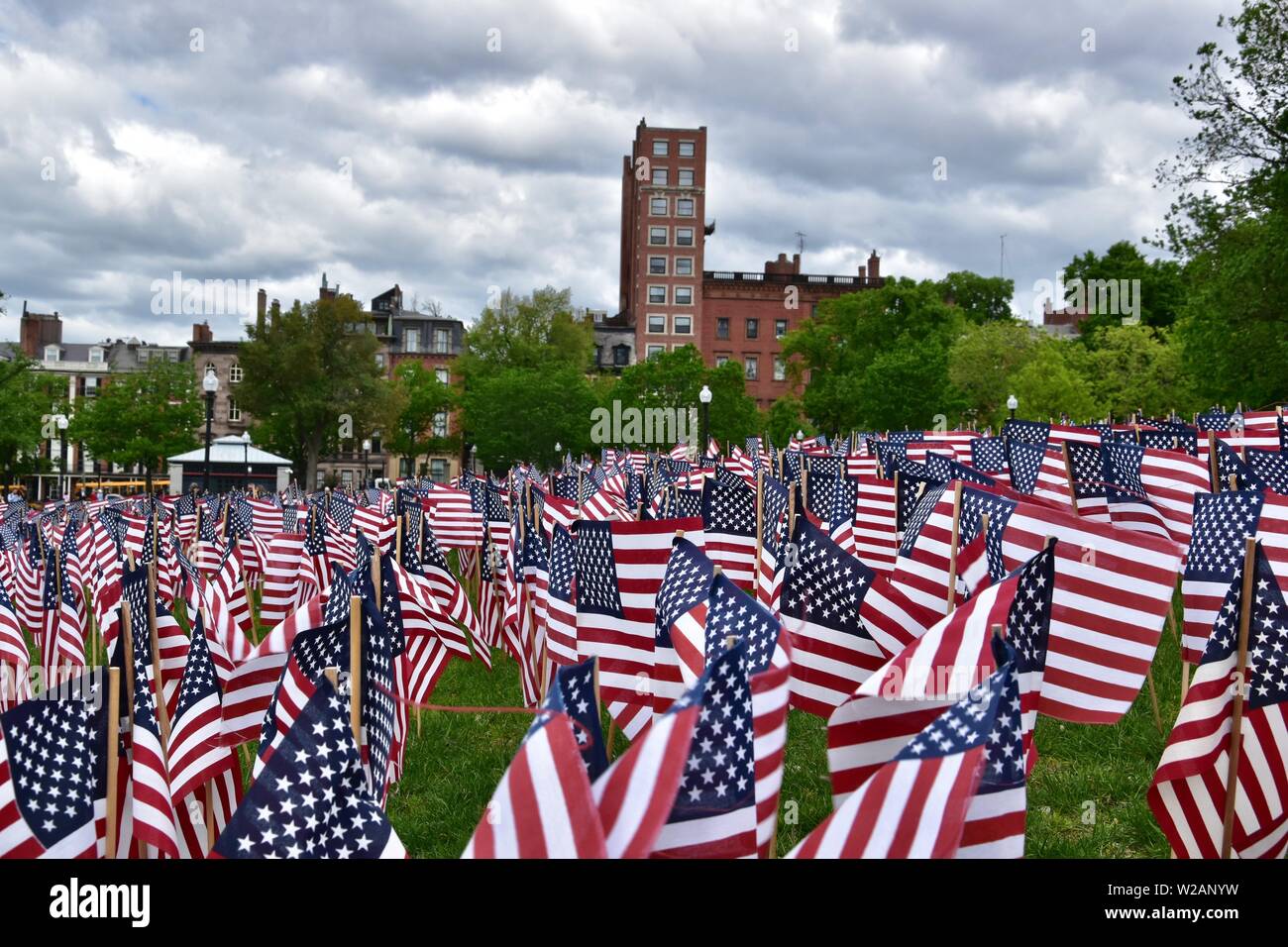 Thousands of flags memorializing fallen soldiers on Memorial Day, 2019 ...