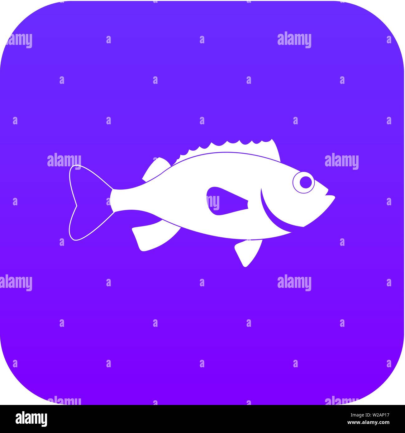 Sea bass fish icon digital purple Stock Vector Image & Art - Alamy