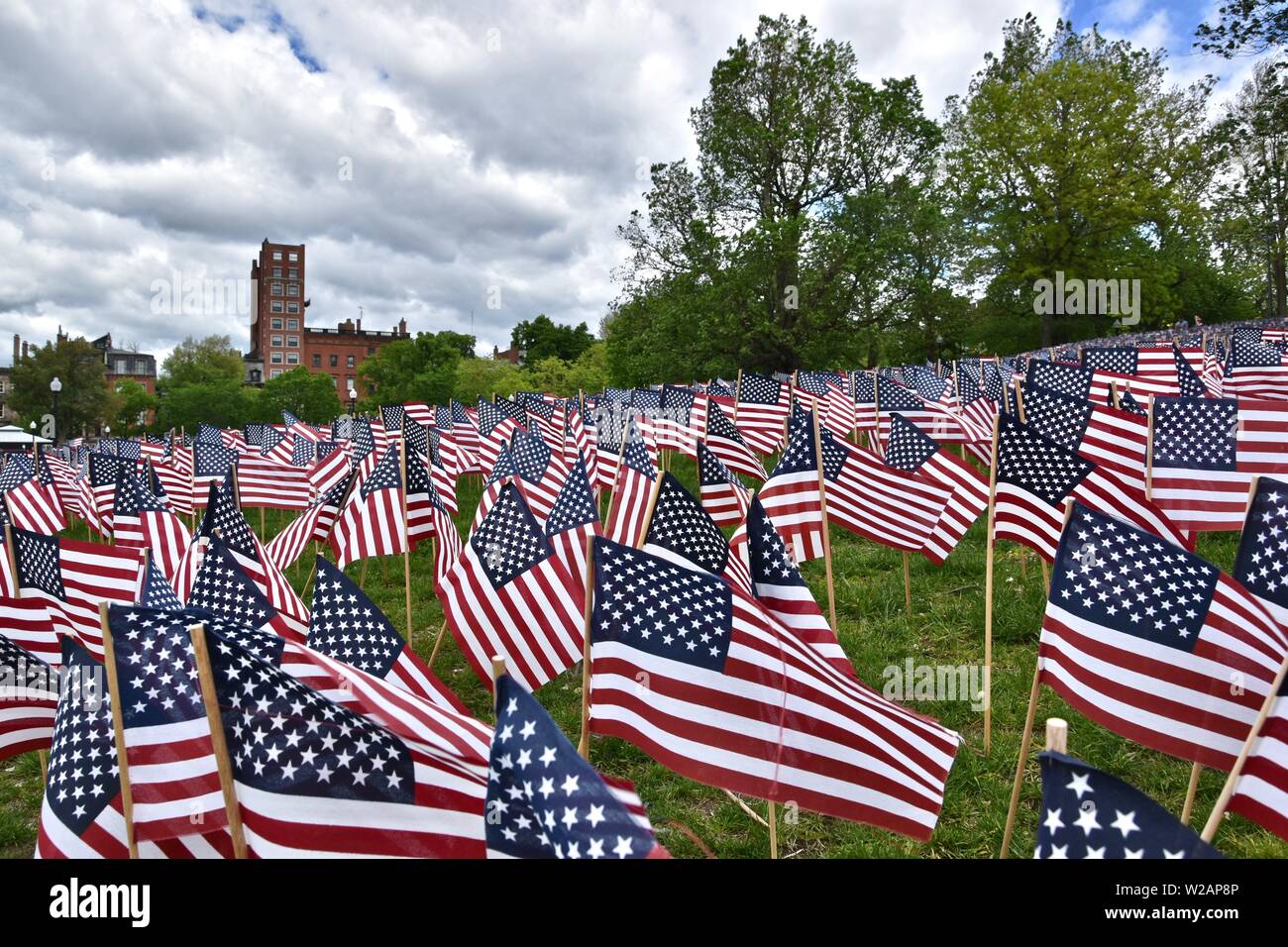 Thousands of flags memorializing fallen soldiers on Memorial Day, 2019 ...