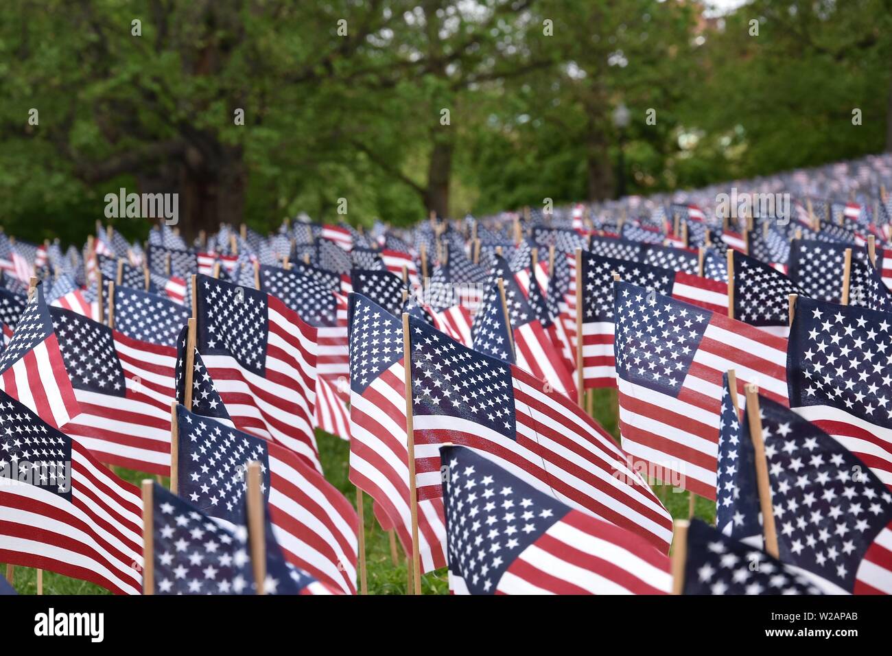 Thousands of flags memorializing fallen soldiers on Memorial Day, 2019 ...