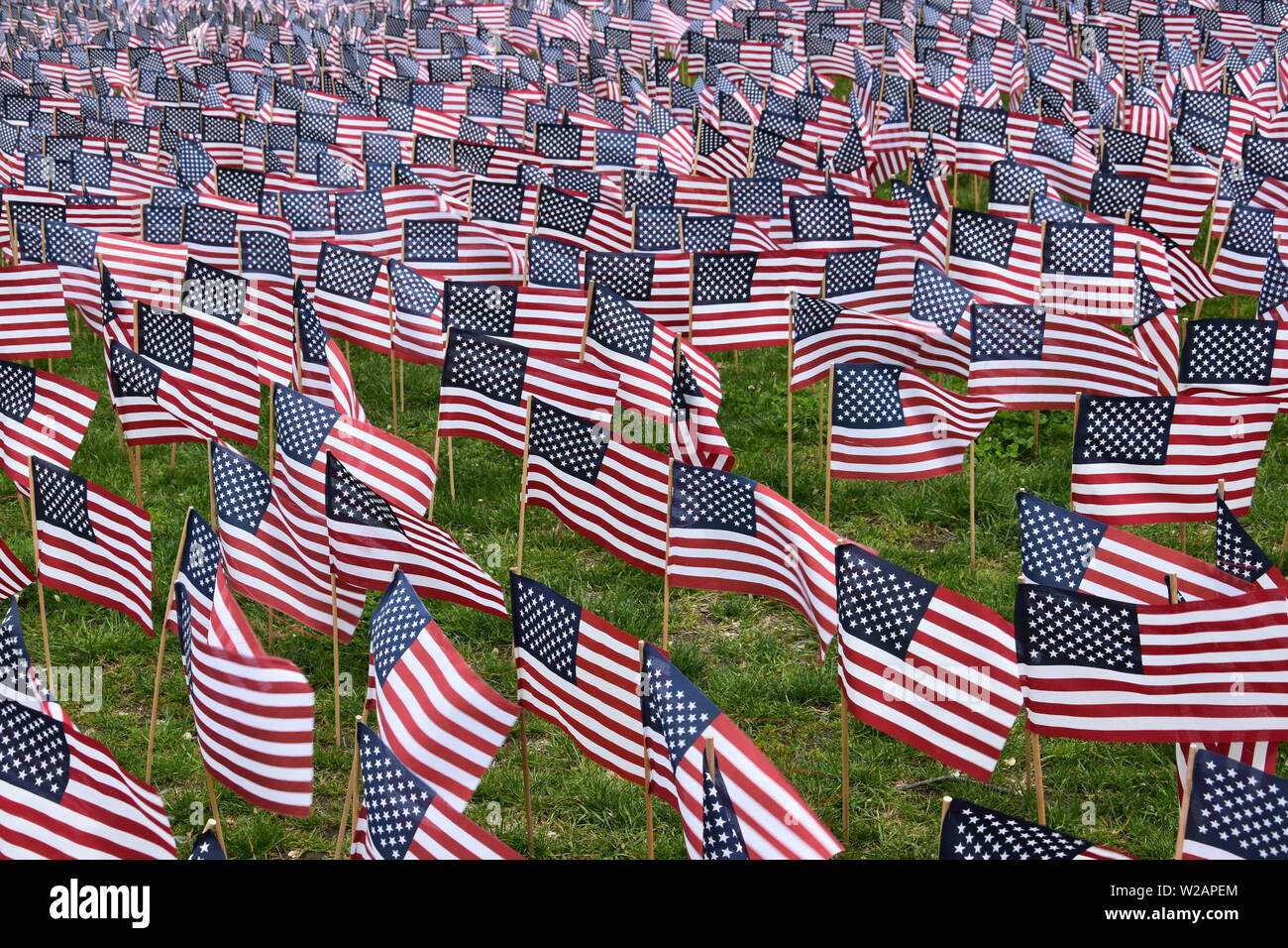 Thousands of flags memorializing fallen soldiers on Memorial Day, 2019 ...