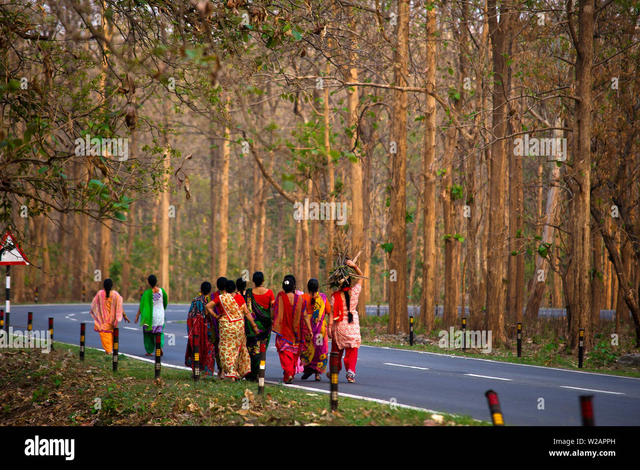 Indian womans in traditional saris on the road Kaladhungi-Naini Tal ...