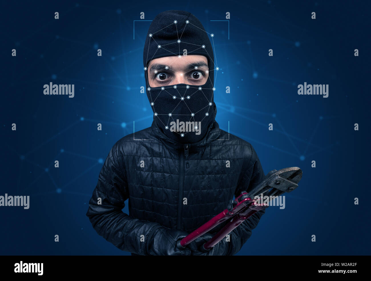 Recognition of a face by layering a mesh. Biometric verification and ...