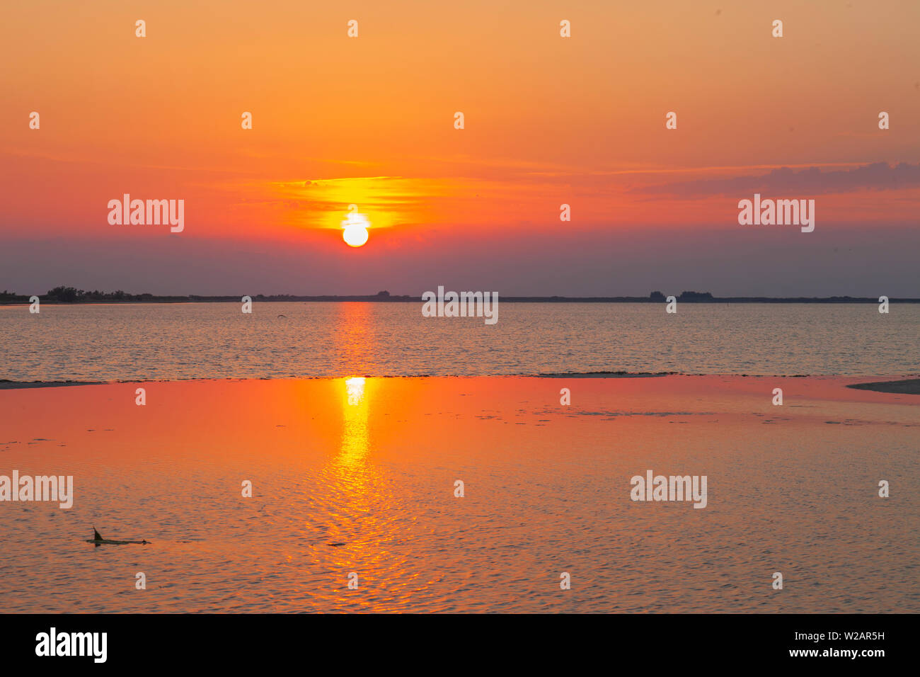 Rhone river delta hi-res stock photography and images - Alamy