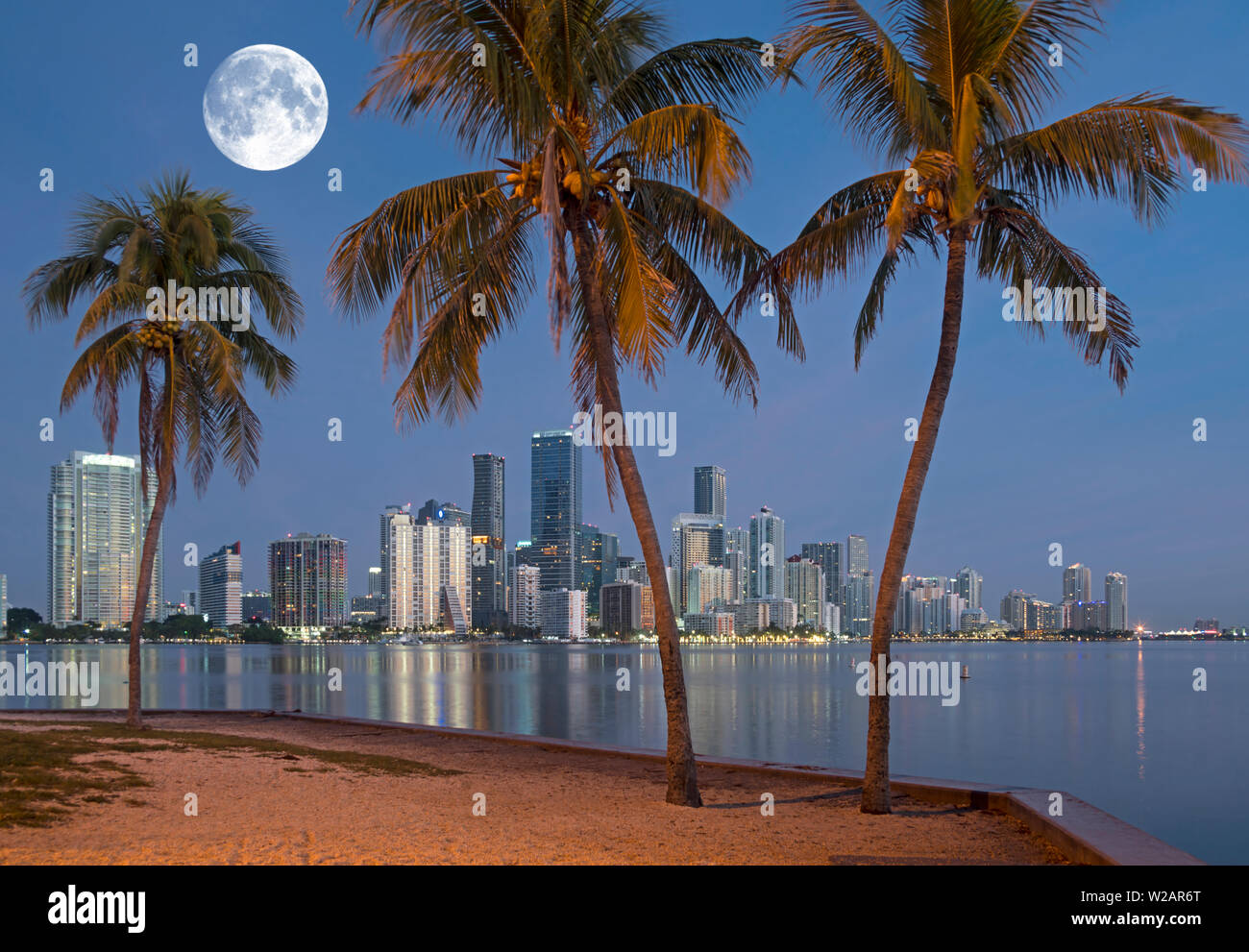 BRICKELL AVENUE SKYLINE DOWNTOWN MIAMI FLORIDA USA Stock Photo - Alamy