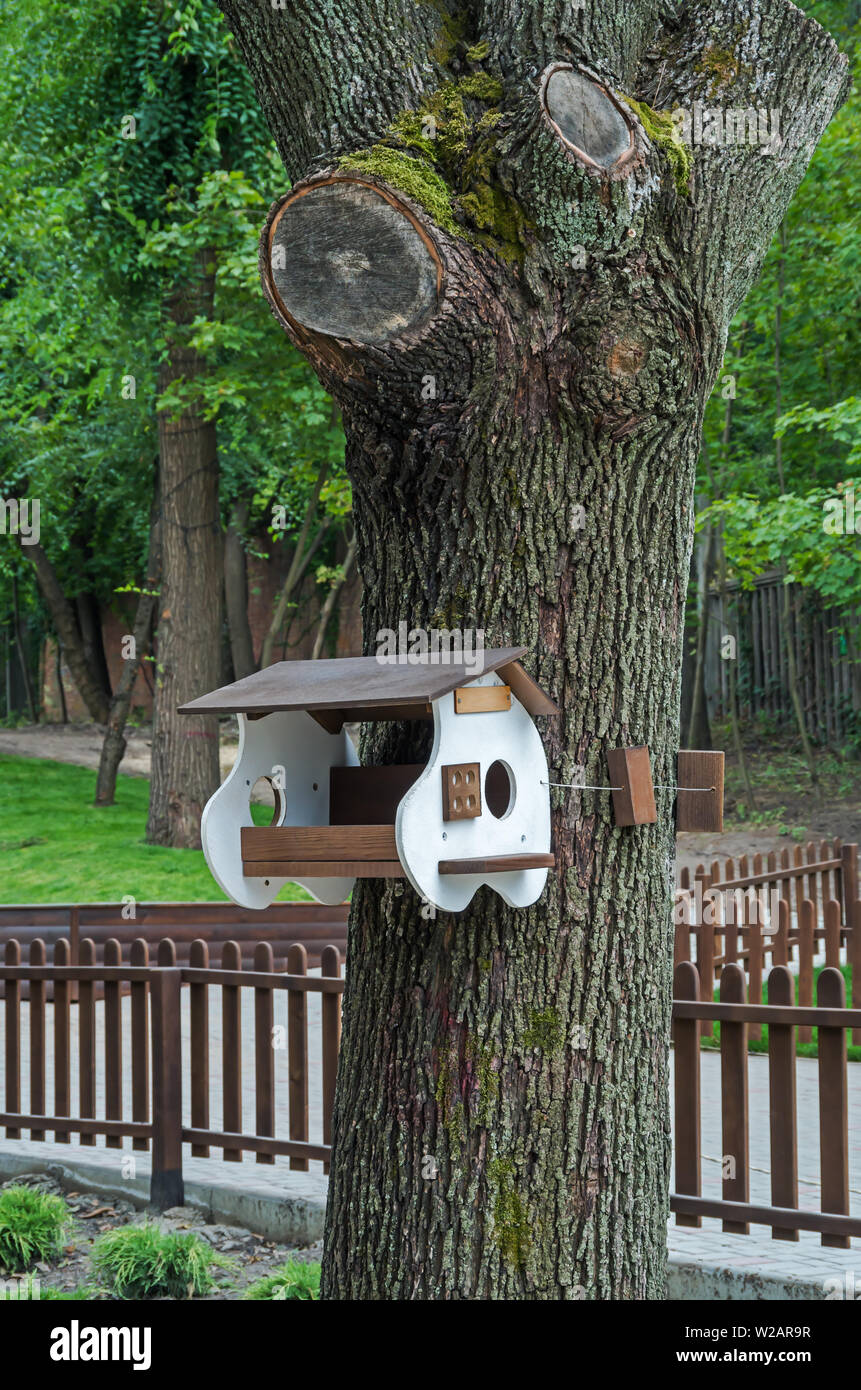 Bird feeder hanging on the trunk of an old tree in a city public park ...