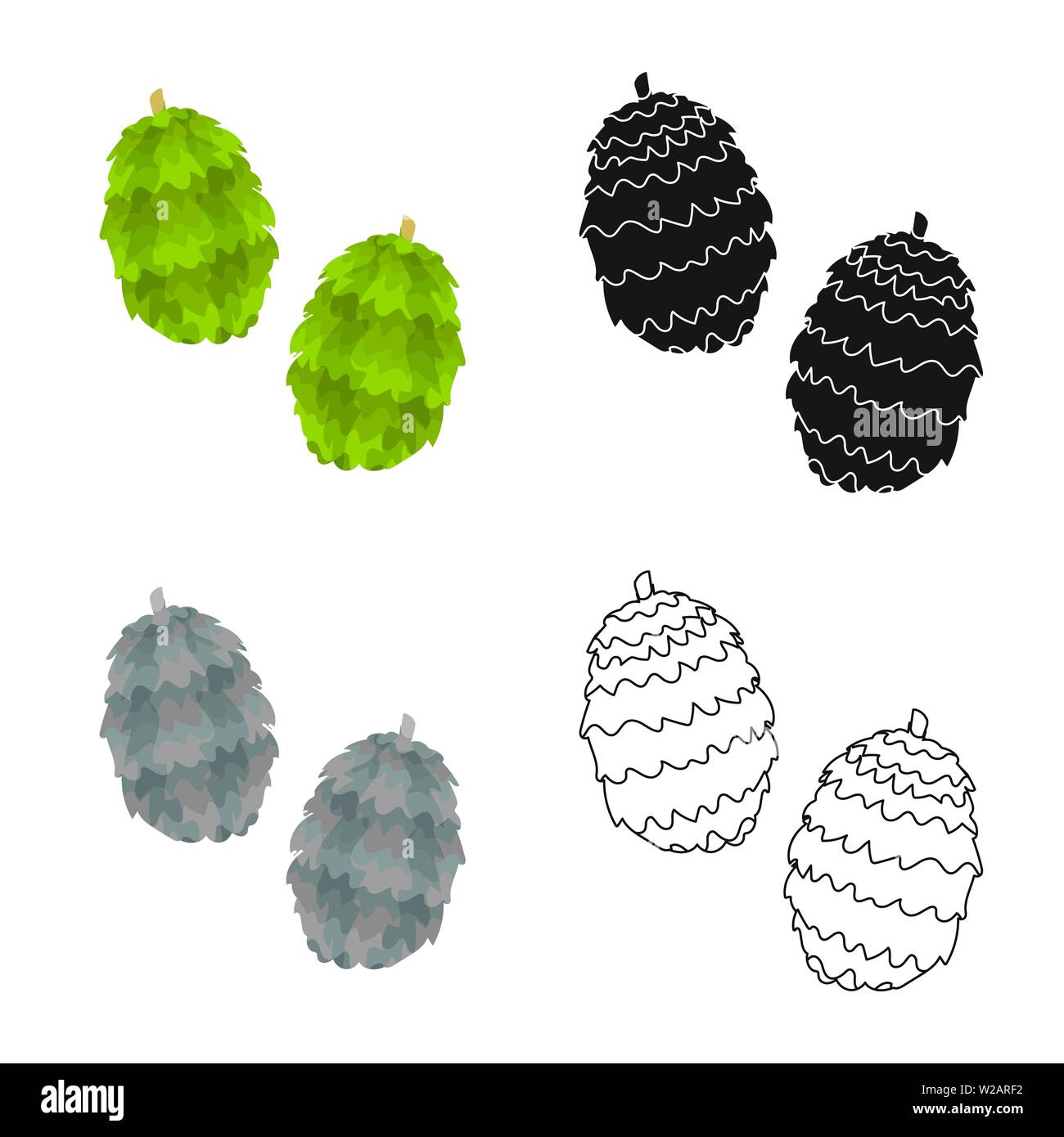 Vector illustration of humulus and plant sign. Collection of humulus ...