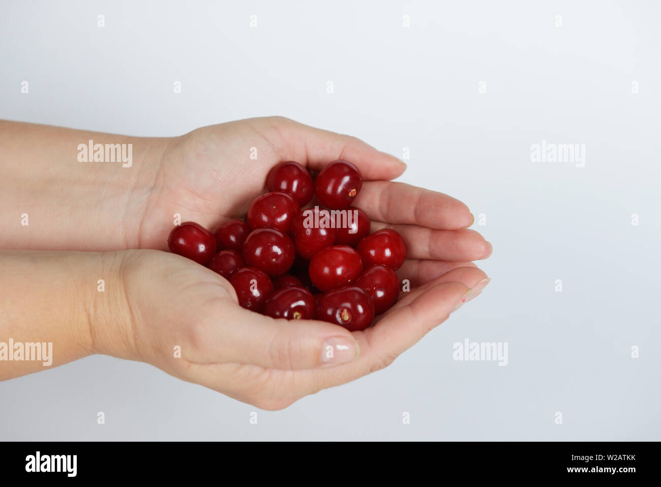 The hands with cherry on white background Stock Photo - Alamy