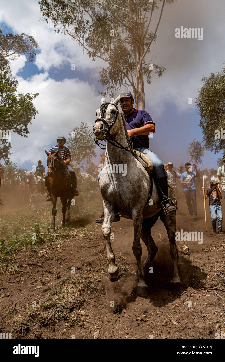 Men on horse back rounding up wild horses hi-res stock photography and ...
