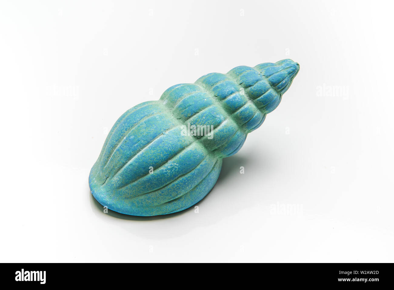 Turquoise seashell isolated on white background Stock Photo - Alamy