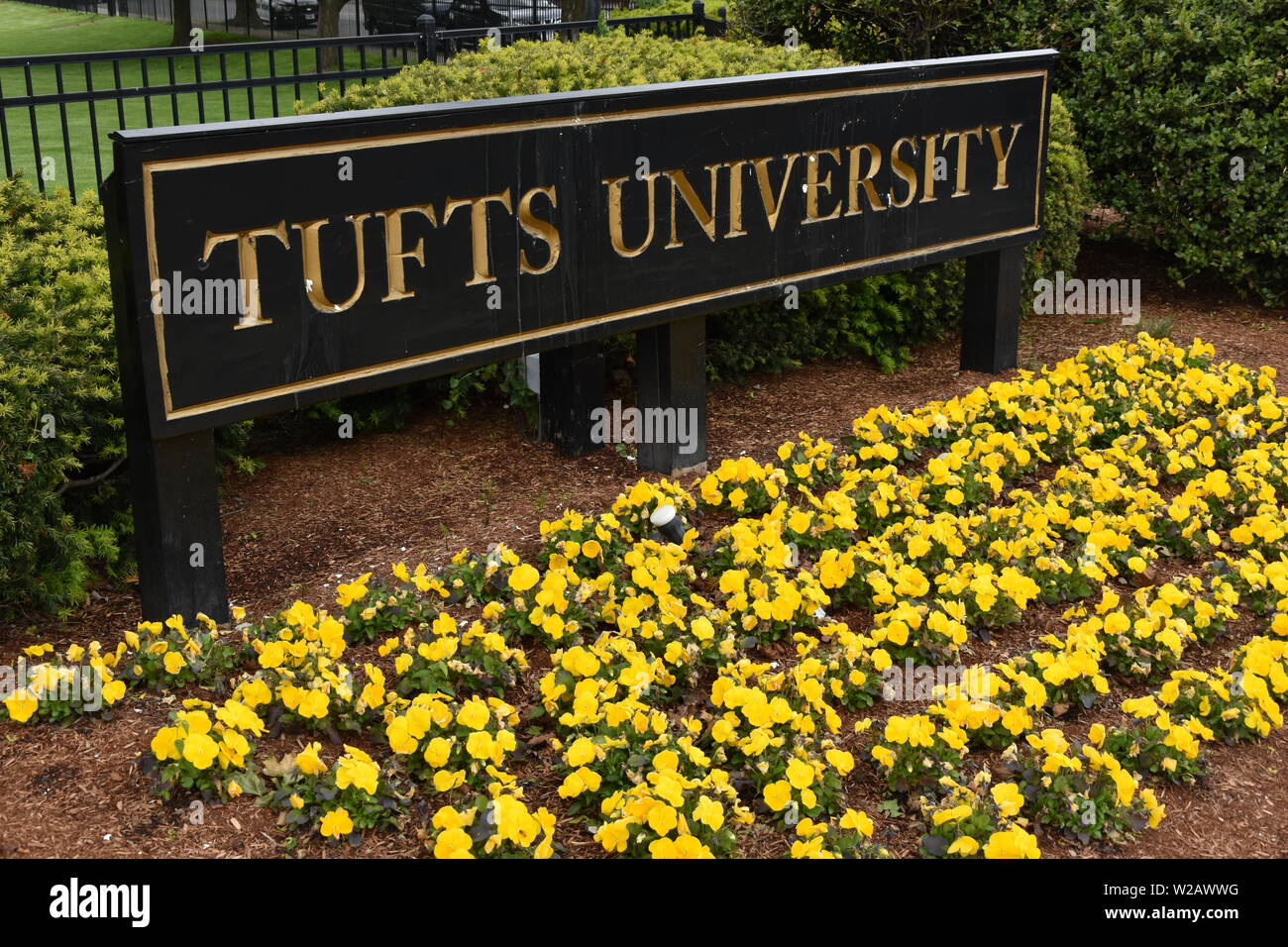 Tufts university campus hi-res stock photography and images - Alamy