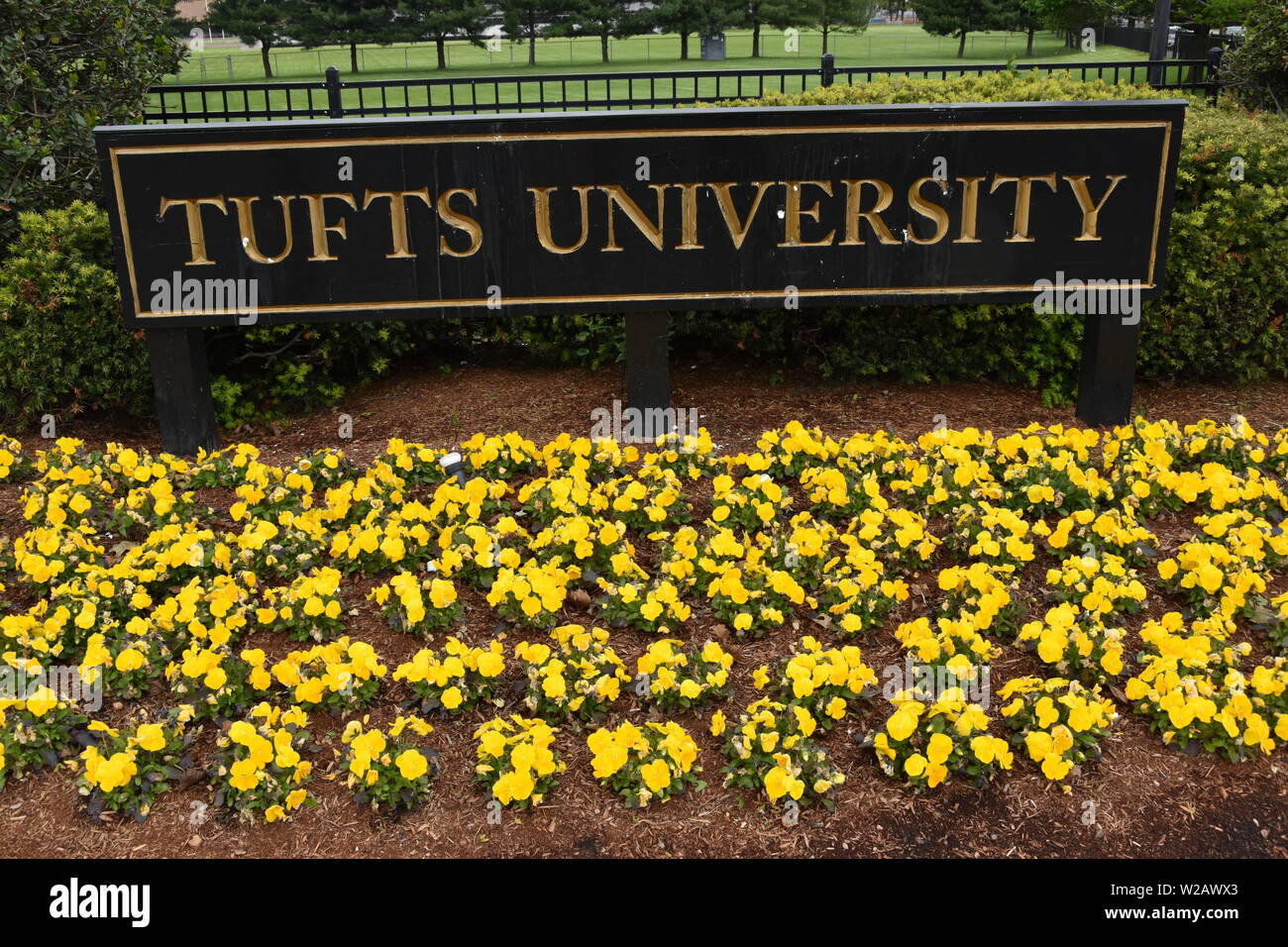 Tufts university campus hi-res stock photography and images - Alamy