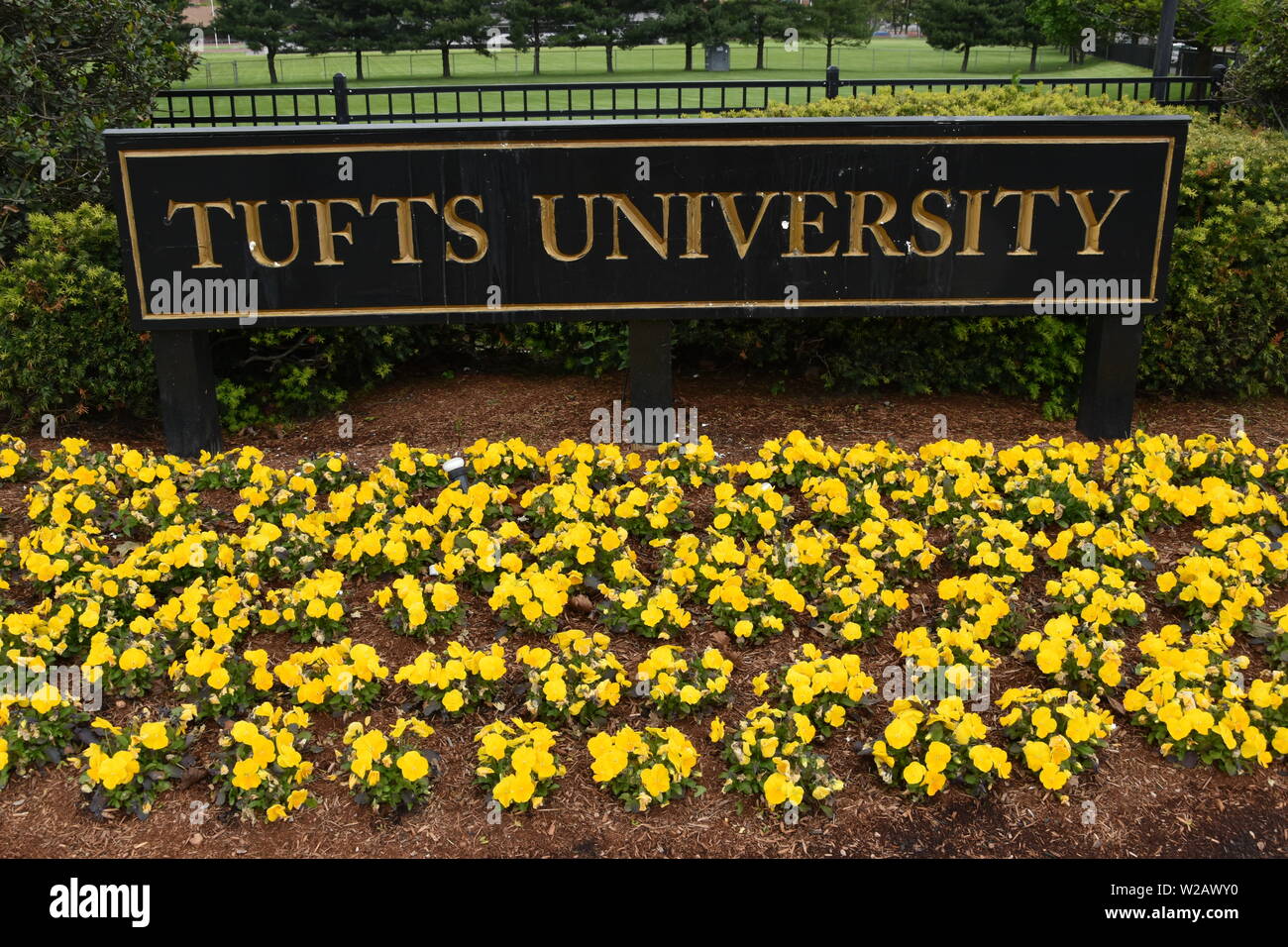 Tufts university campus hi-res stock photography and images - Alamy