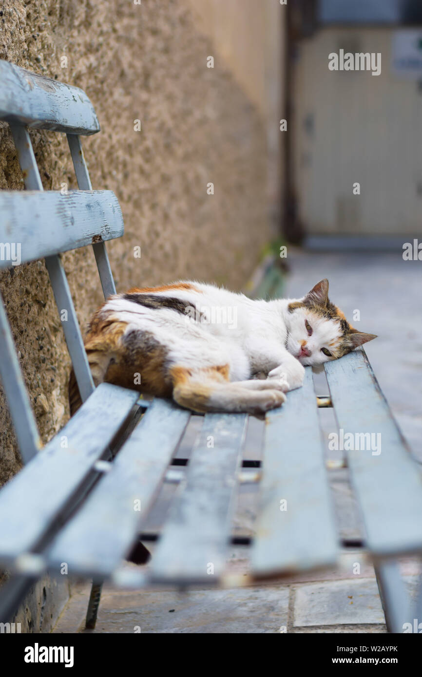Sleep on street bench hi-res stock photography and images - Alamy
