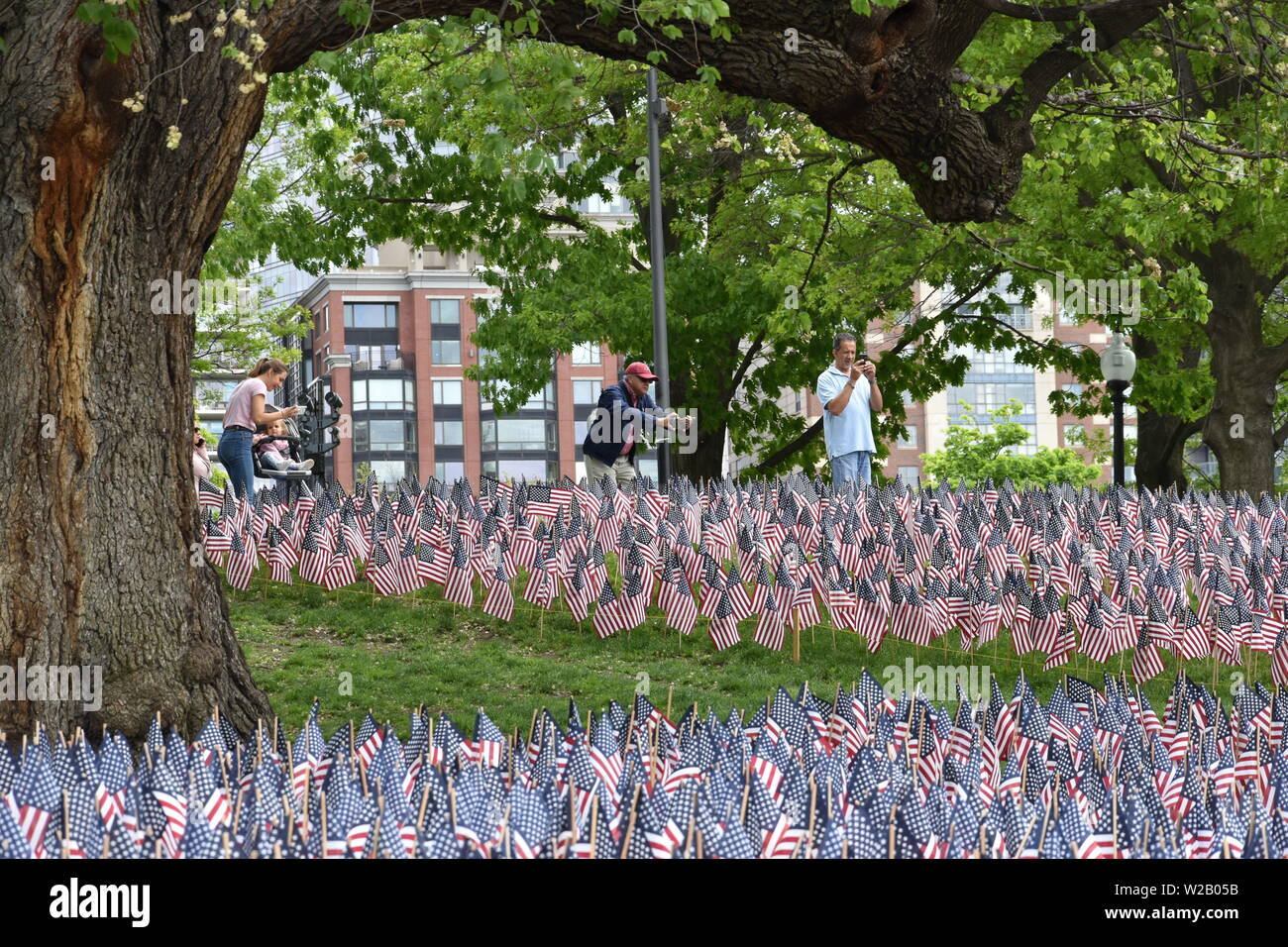 Thousands of Memorial Day flags commemorating fallen soldiers from ...