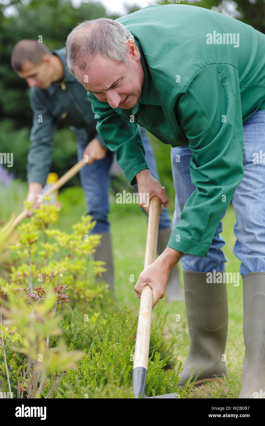 Men gardening hi-res stock photography and images - Alamy