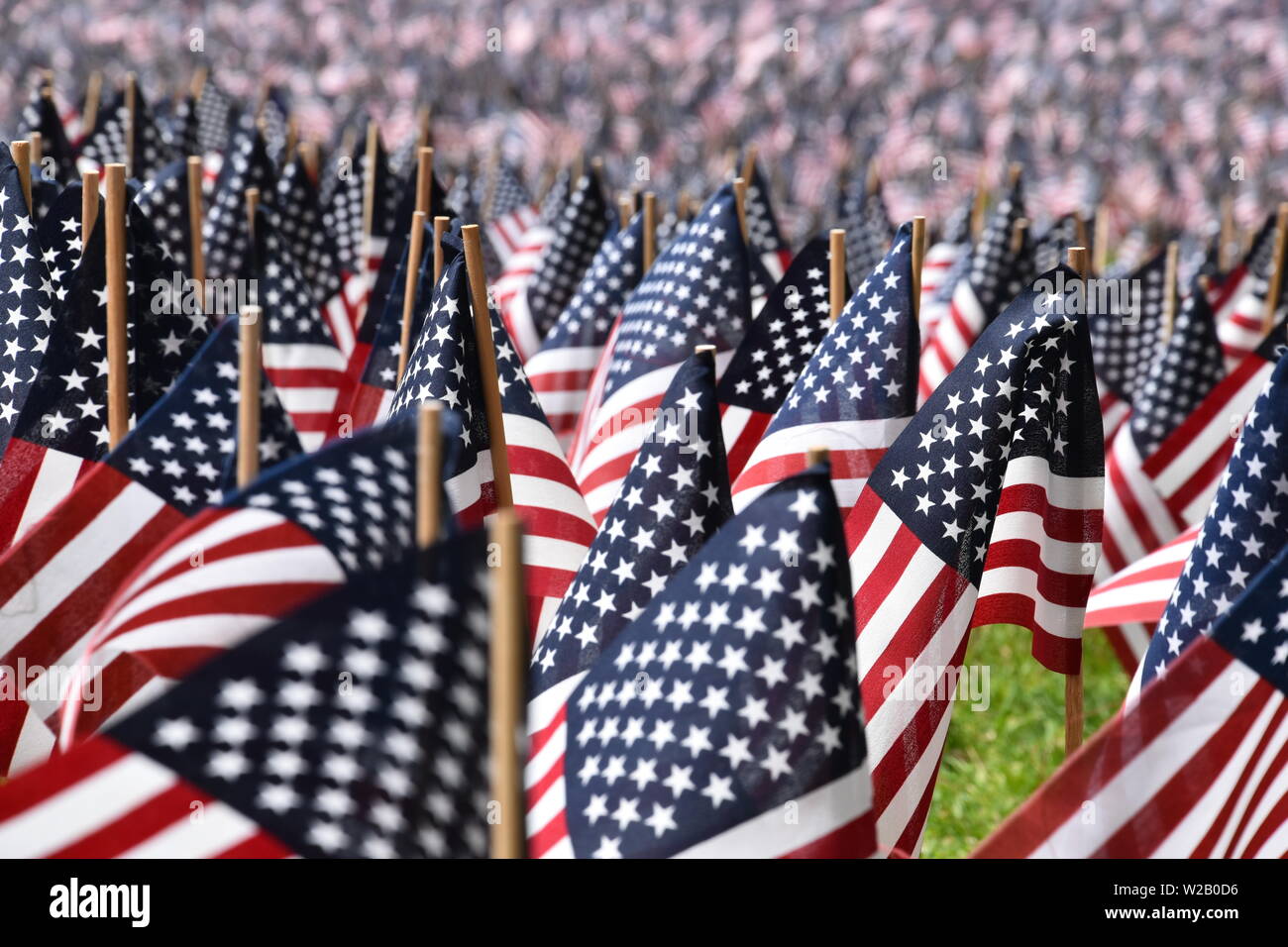 Thousands of Memorial Day flags commemorating fallen soldiers from ...