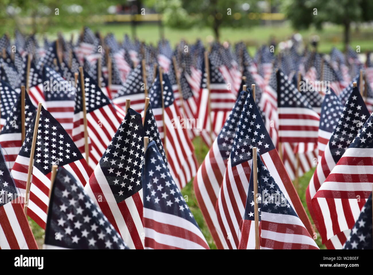 Thousands of Memorial Day flags commemorating fallen soldiers from ...