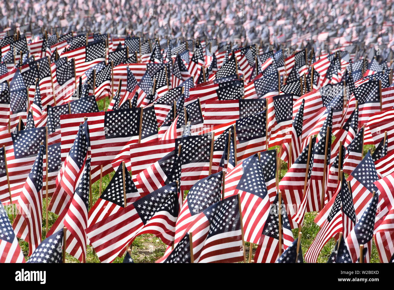 Thousands of Memorial Day flags commemorating fallen soldiers from ...