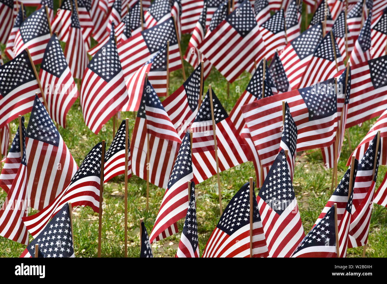 Thousands of Memorial Day flags commemorating fallen soldiers from ...