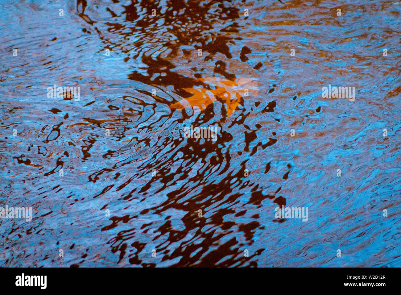 autumn leaf floating down stream Stock Photo - Alamy