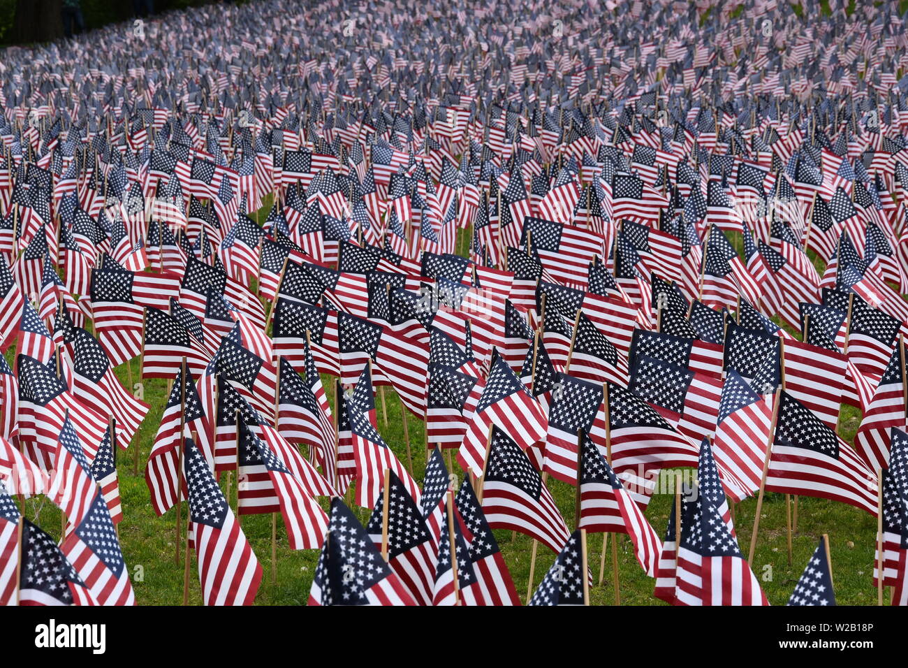 Thousands of Memorial Day flags commemorating fallen soldiers from ...