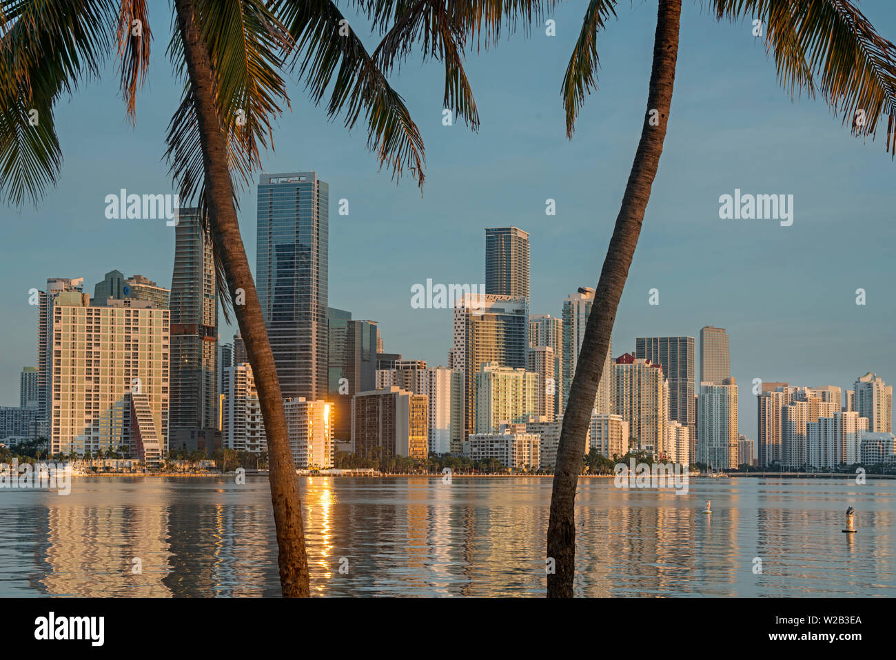 BRICKELL AVENUE SKYLINE DOWNTOWN MIAMI FLORIDA USA Stock Photo - Alamy