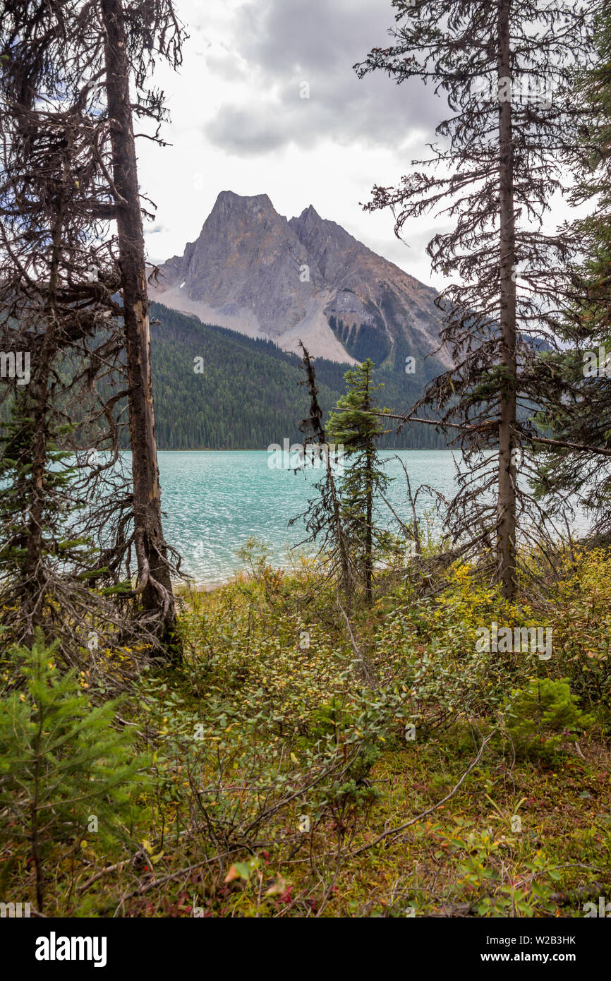 Sharp peak of Mount Burgess rises above aqua-coloured Emerald Lake ...