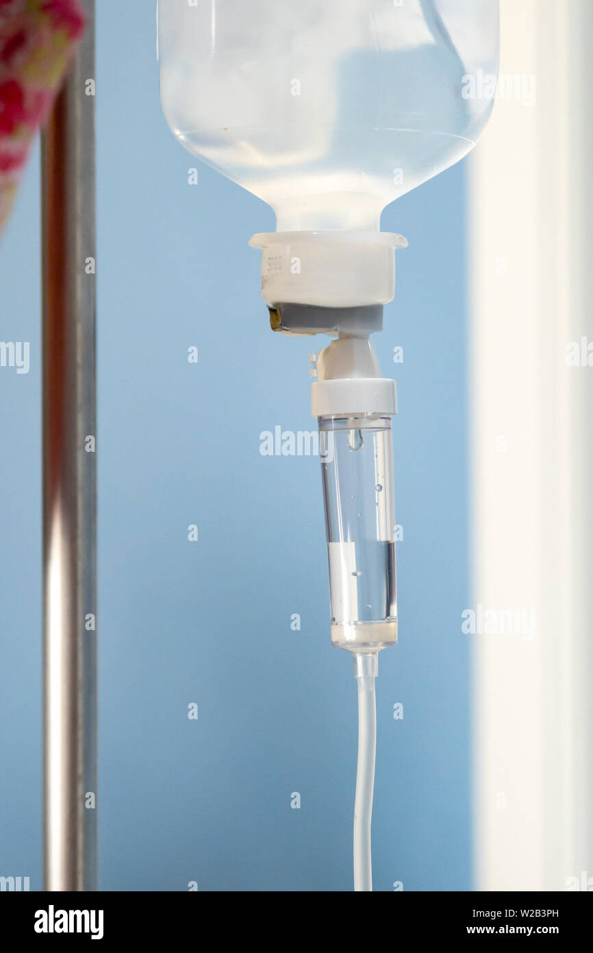 Veterinary solution hi-res stock photography and images - Alamy