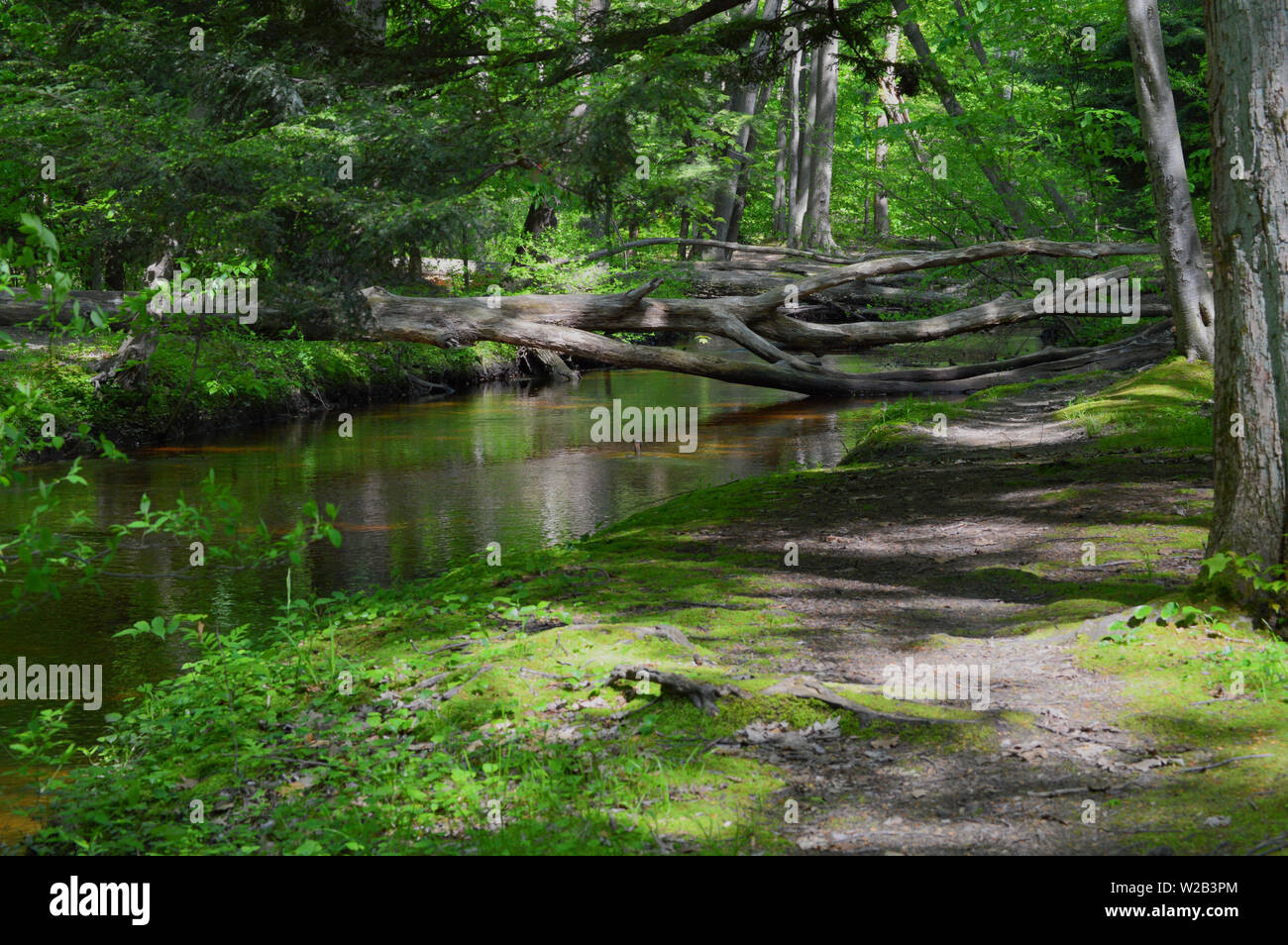 Hoffmaster state park hi-res stock photography and images - Alamy