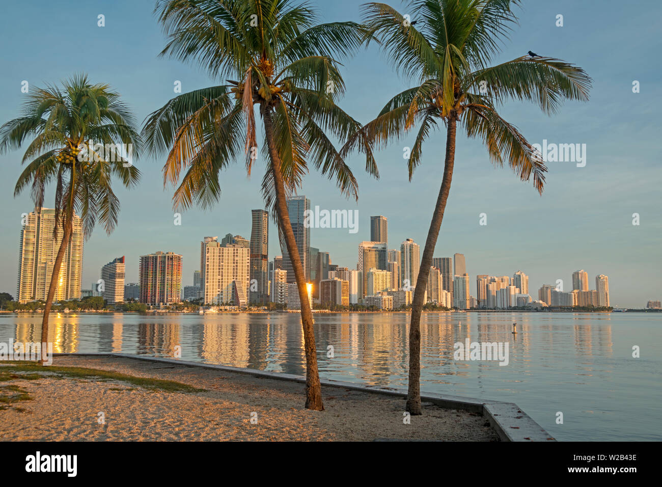 BRICKELL AVENUE SKYLINE DOWNTOWN MIAMI FLORIDA USA Stock Photo - Alamy