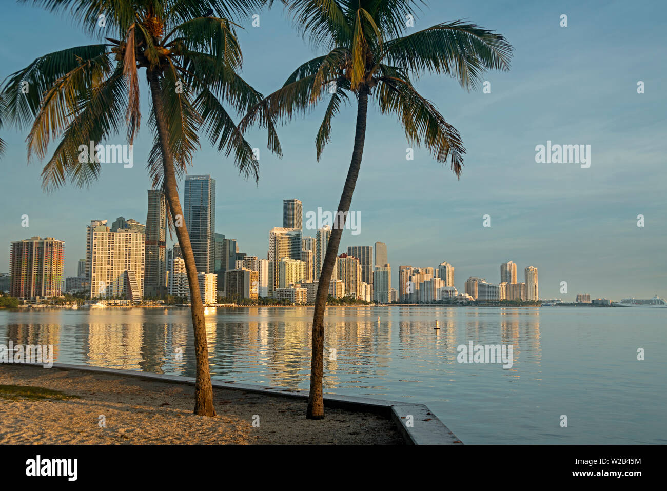BRICKELL AVENUE SKYLINE DOWNTOWN MIAMI FLORIDA USA Stock Photo - Alamy