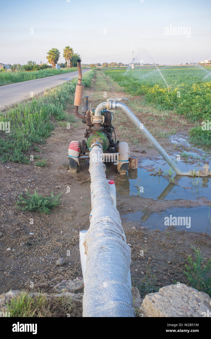 Water pump made with diesel engine for catchment water from irrgation ...