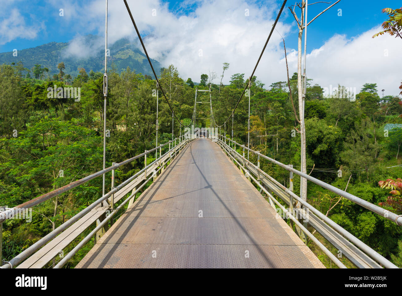 Suspension bridge spanning deep gully on the side of active volcano in ...