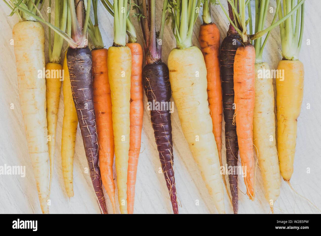 Mixed bunch of raw heirloom carrots on a white timber background Stock ...