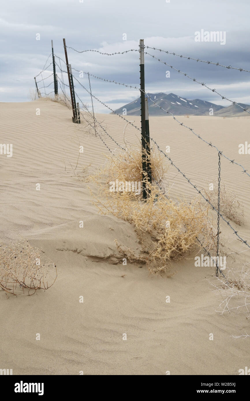 Tumbleweeds in fence hi-res stock photography and images - Alamy