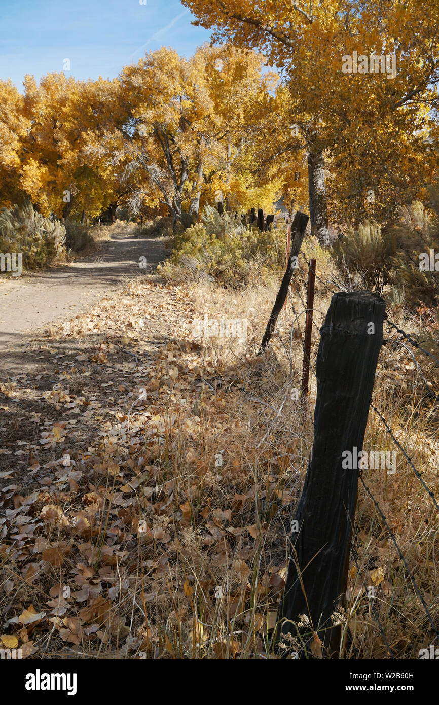 Fall color along a dirt road Stock Photo - Alamy