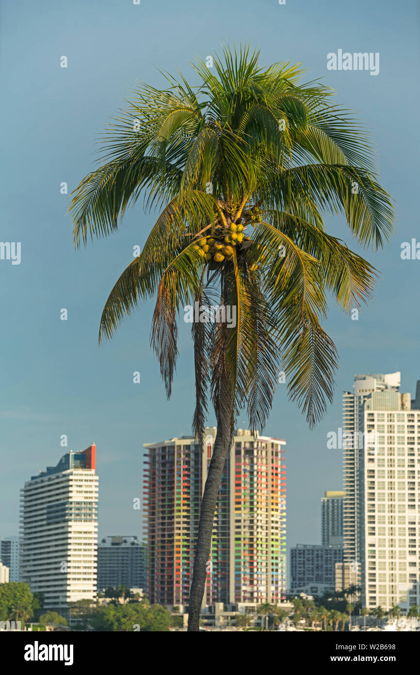 BRICKELL AVENUE SKYLINE DOWNTOWN MIAMI FLORIDA USA Stock Photo - Alamy
