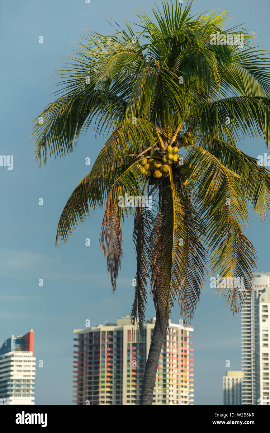 BRICKELL AVENUE SKYLINE DOWNTOWN MIAMI FLORIDA USA Stock Photo - Alamy