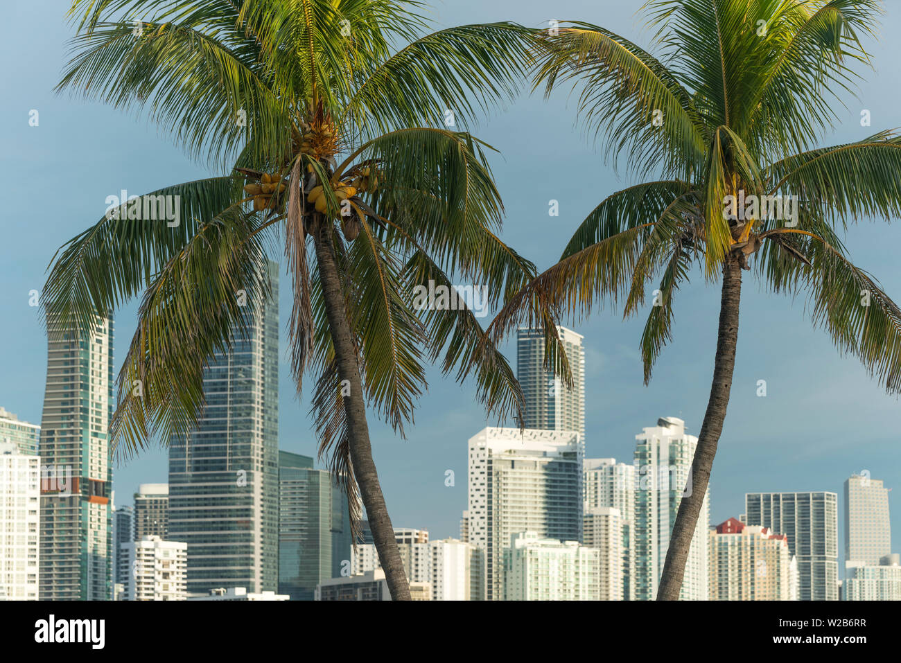 BRICKELL AVENUE SKYLINE DOWNTOWN MIAMI FLORIDA USA Stock Photo - Alamy