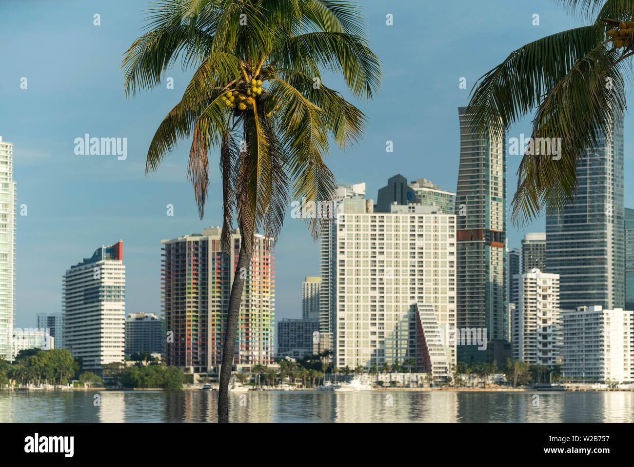 BRICKELL AVENUE SKYLINE DOWNTOWN MIAMI FLORIDA USA Stock Photo - Alamy
